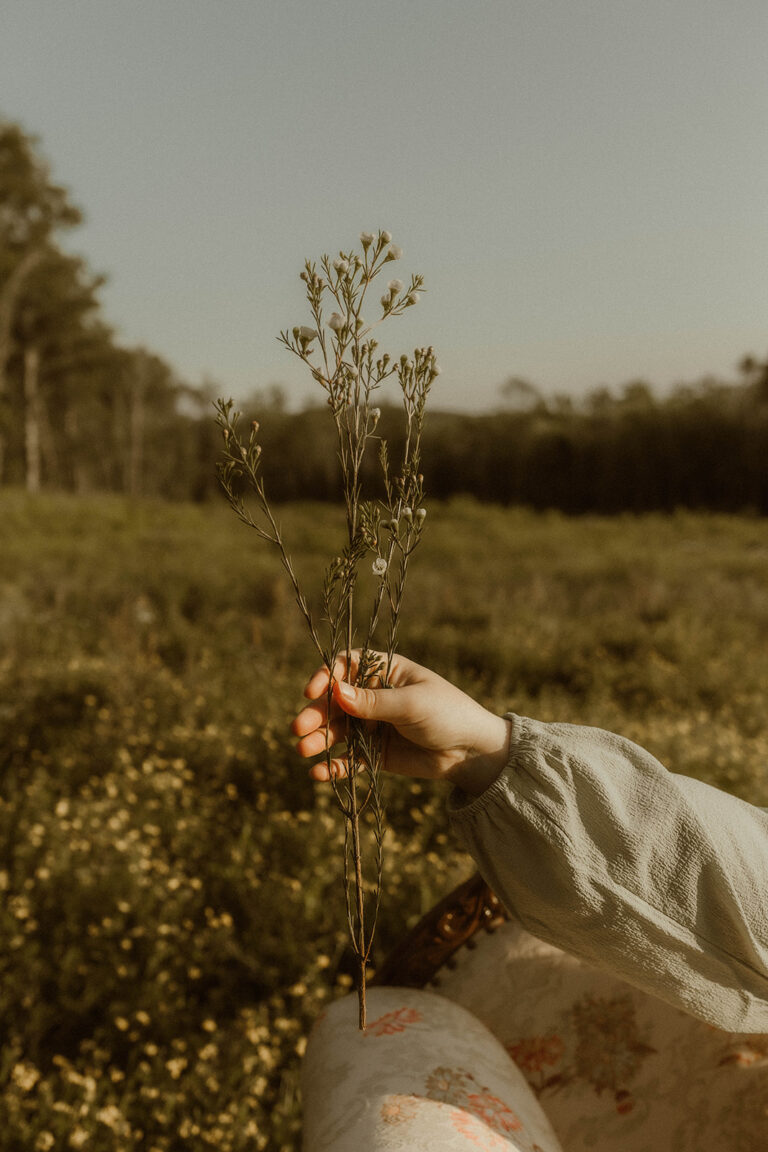 Creative Portraits in Wildflower Field - Courtney Stannard Photography